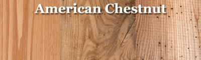 American Chestnut Lumber – Hearne Hardwoods