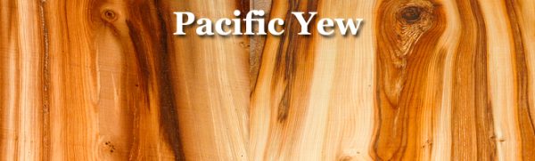 Pacific Yew Lumber – Hearne Hardwoods