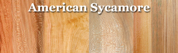 American Sycamore Lumber – Hearne Hardwoods