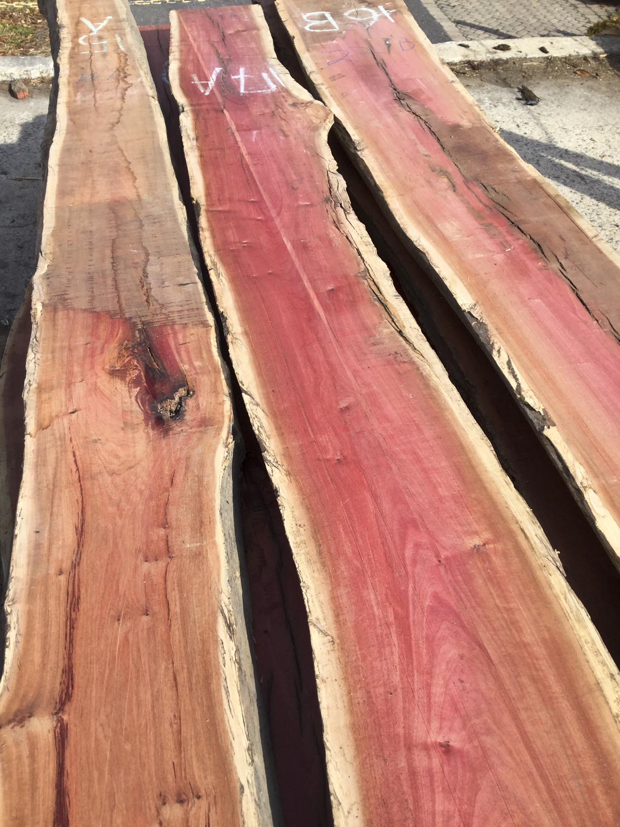 What Is Pink Ivory Wood _ What is the Most Expensive Wood in the World ...