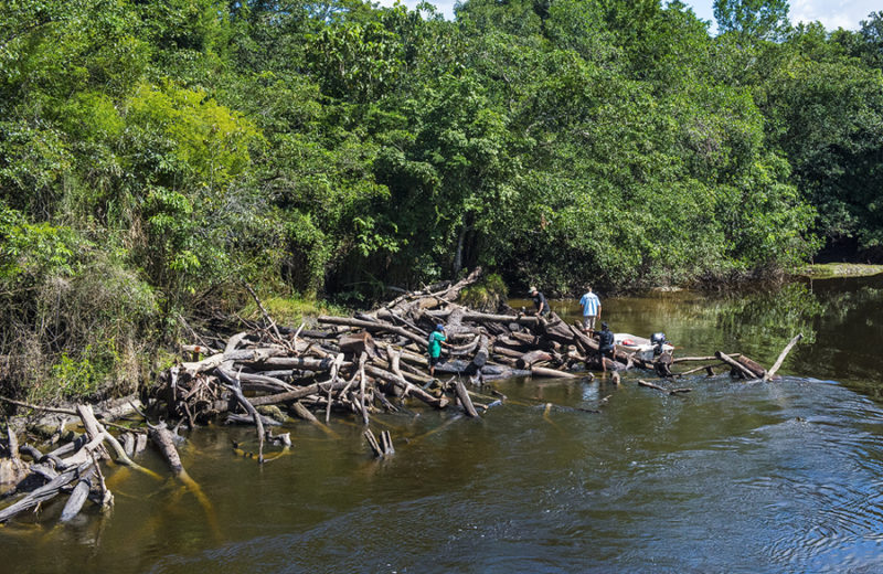 Sinker Mahogany Lumber – Hearne Hardwoods