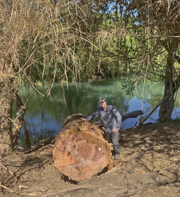 Sinker Mahogany Lumber – Hearne Hardwoods