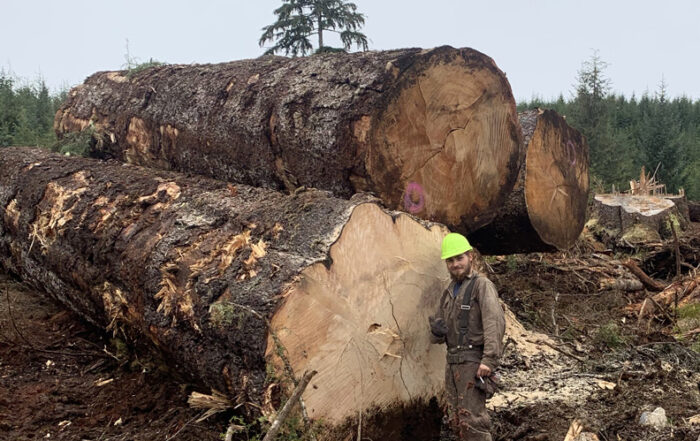 Sitka Spruce Lumber – Hearne Hardwoods