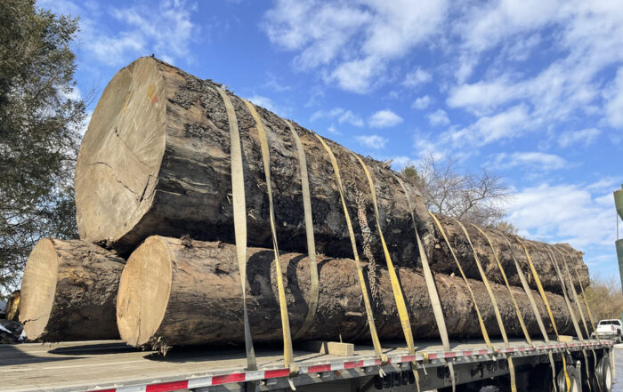 Sitka Spruce Lumber – Hearne Hardwoods
