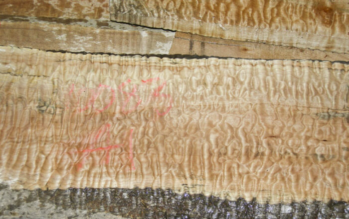 Big Leaf Maple Lumber – Hearne Hardwoods