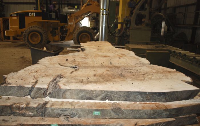 Big Leaf Maple Lumber – Hearne Hardwoods