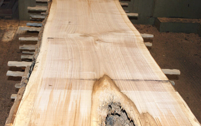 Butternut Lumber – Hearne Hardwoods