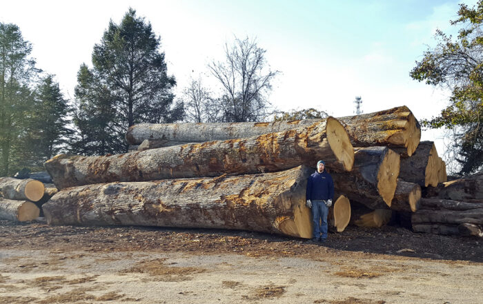 White Oak Lumber – Hearne Hardwoods