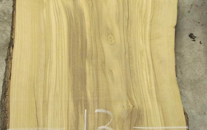 Italian Olive Lumber – Hearne Hardwoods