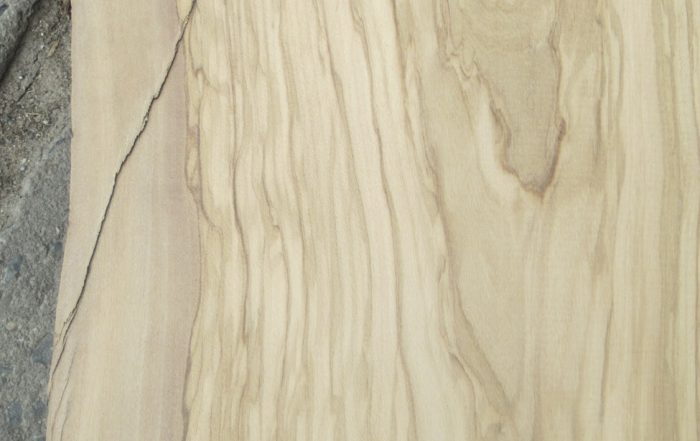 Italian Olive Lumber – Hearne Hardwoods