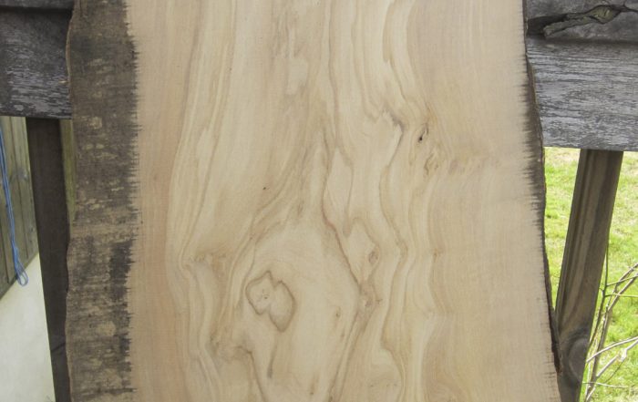 Italian Olive Lumber – Hearne Hardwoods