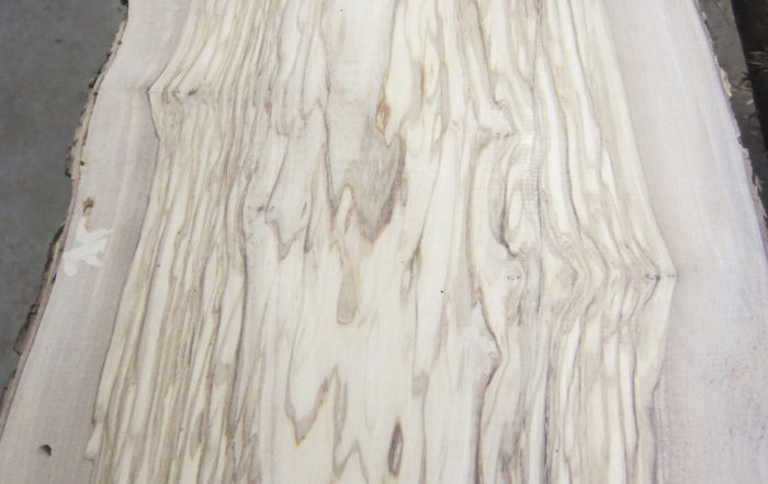 Italian Olive Lumber – Hearne Hardwoods
