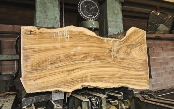 Italian Olive Lumber – Hearne Hardwoods
