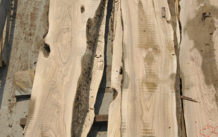 Italian Olive Lumber – Hearne Hardwoods