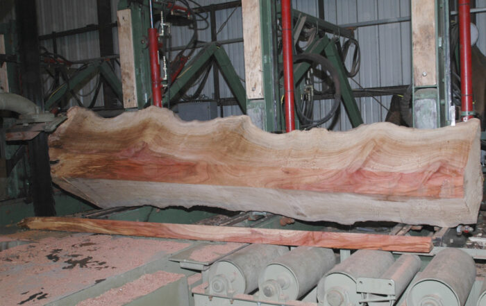 American Sycamore Lumber – Hearne Hardwoods