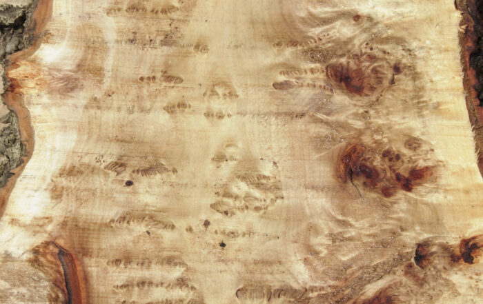 Poplar Lumber – Hearne Hardwoods