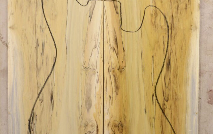 Poplar Lumber – Hearne Hardwoods