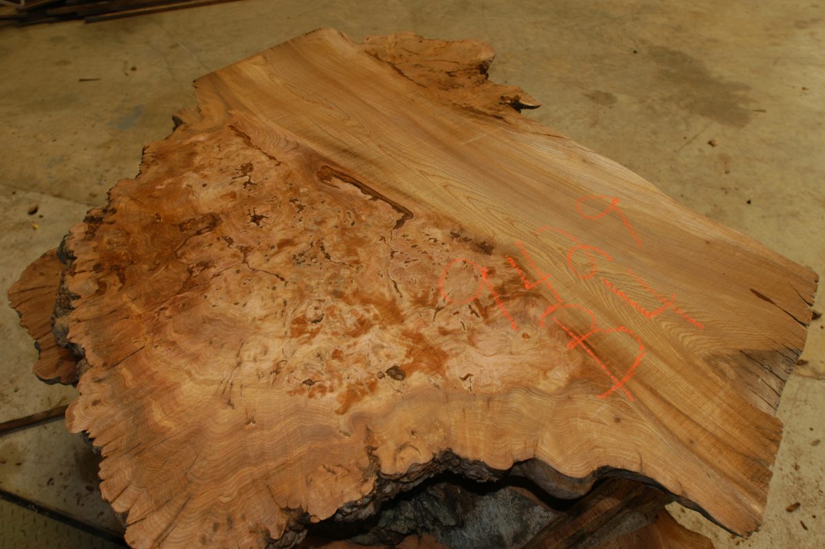 English Wych Elm Lumber – Hearne Hardwoods