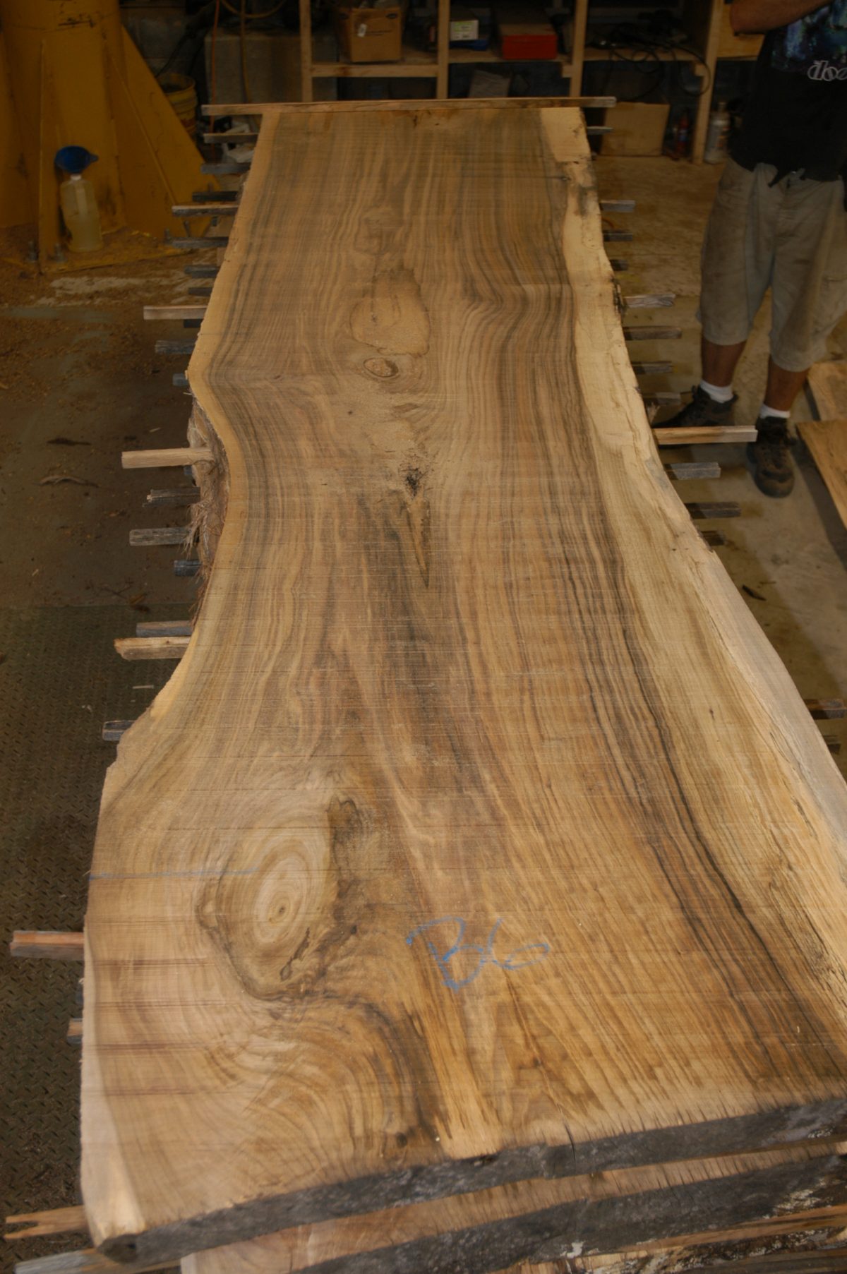 English Walnut Lumber – Hearne Hardwoods