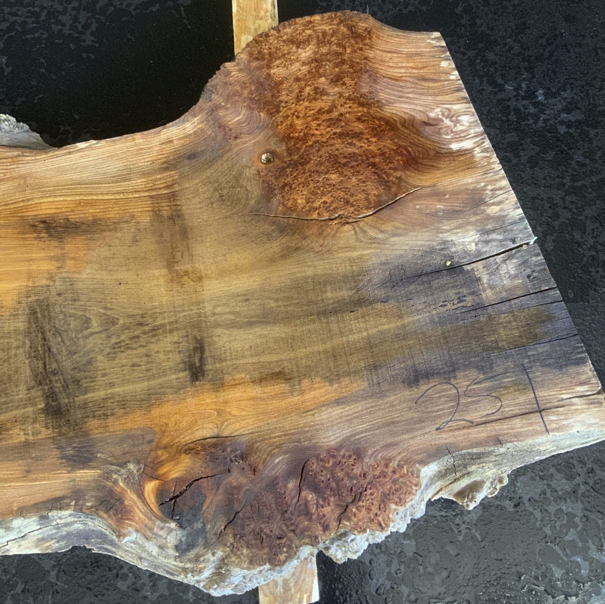 English Wych Elm Lumber – Hearne Hardwoods