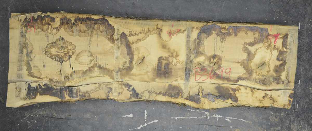 American Chestnut Lumber – Hearne Hardwoods