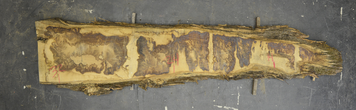 American Chestnut Lumber – Hearne Hardwoods