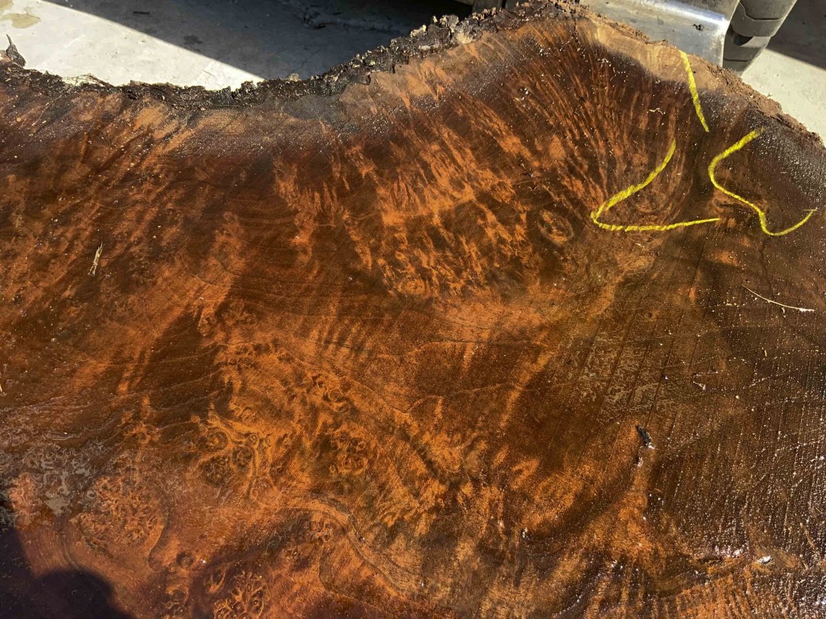 Claro Walnut Lumber – Hearne Hardwoods