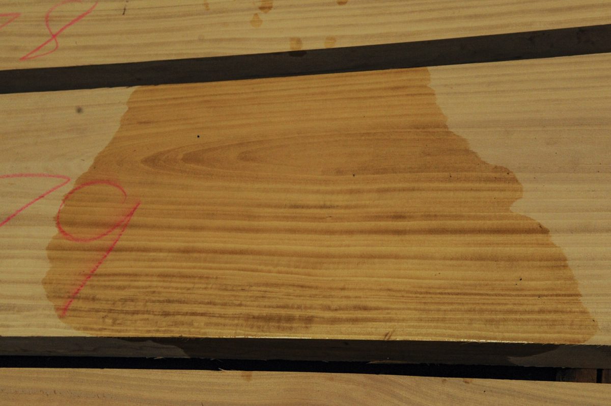 East Indian Satinwood Lumber – Hearne Hardwoods