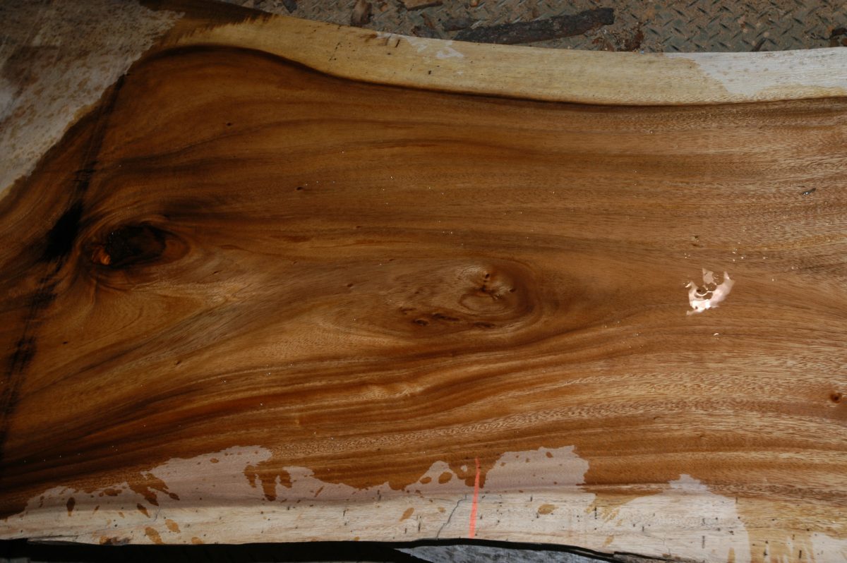 Monkey Pod Lumber – Hearne Hardwoods