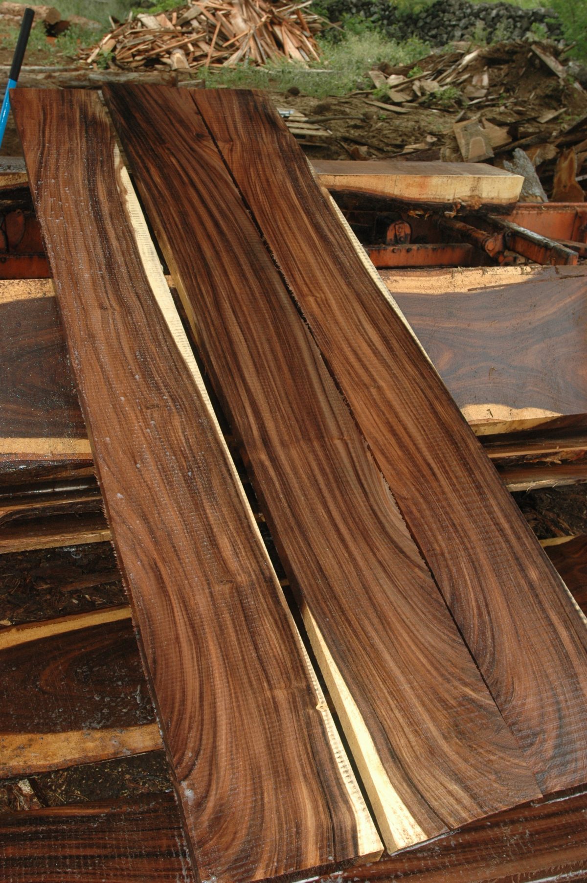 Monkey Pod Lumber – Hearne Hardwoods