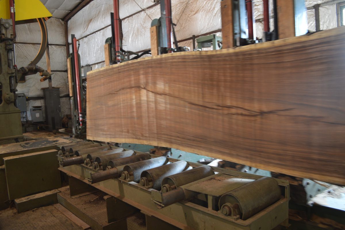 Monkey Pod Lumber – Hearne Hardwoods