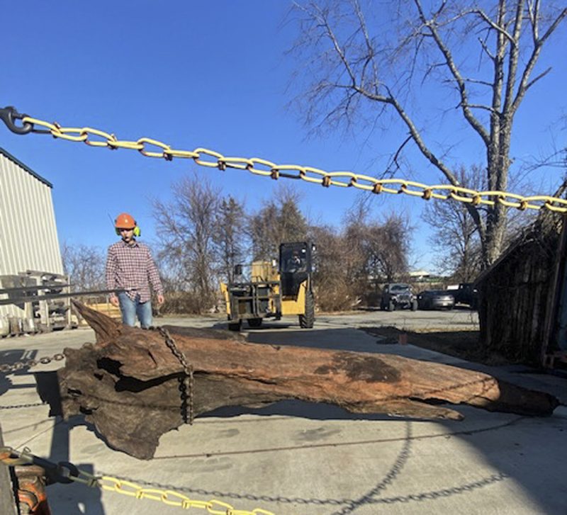 Sinker Logs – Hearne Hardwoods